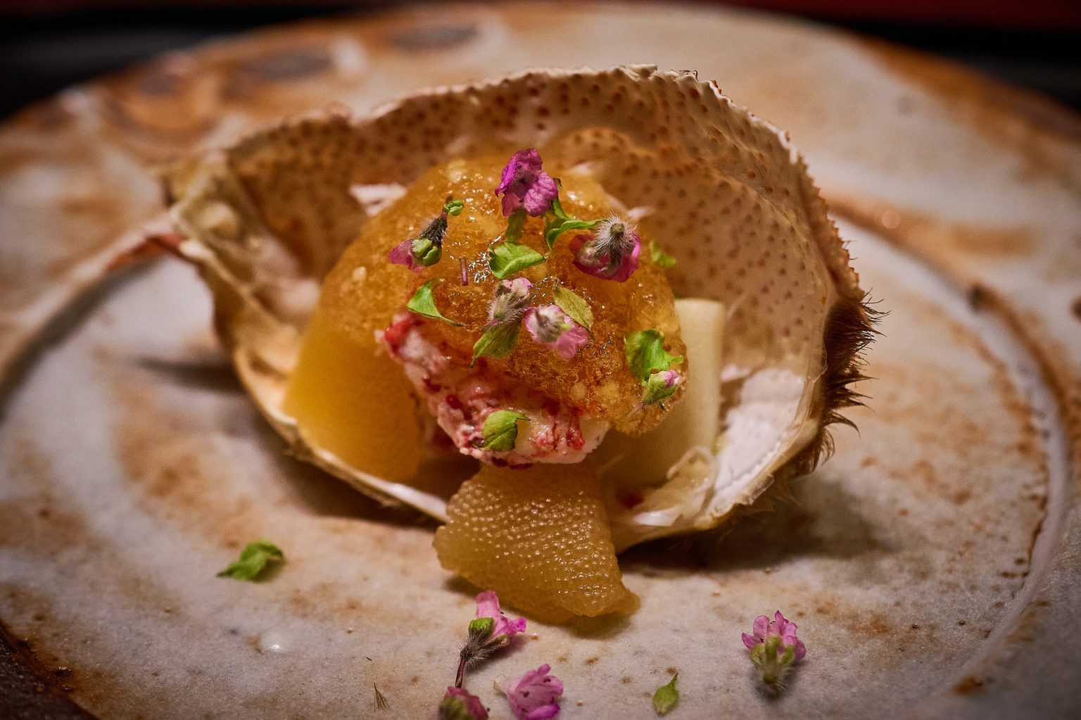 Jet Setter New York City – Industry Magazine